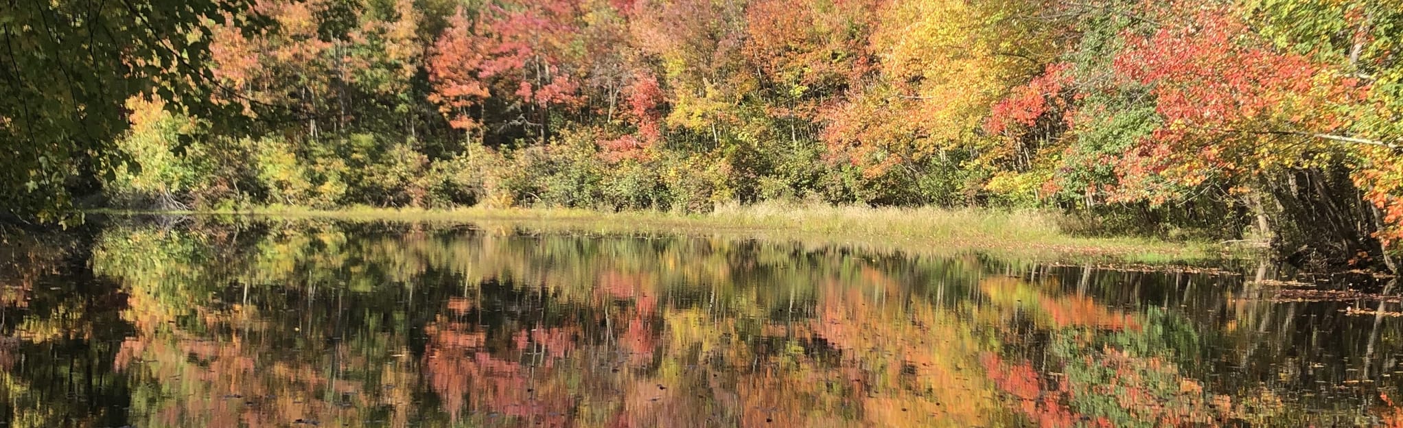 Hop Brook Trail, Massachusetts - 3 Reviews, Map | AllTrails