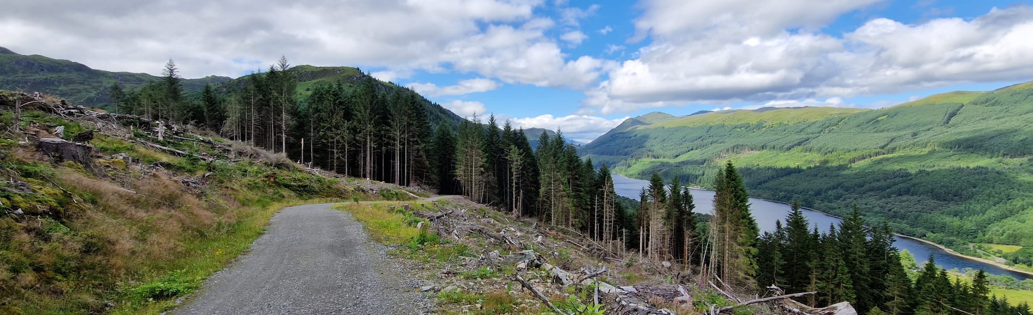 Ben Ledi Foothills Trail Circular: 121 Reviews, Map - Stirling ...