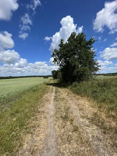 2023 Best 10 Trails, Walks, and Paths in Padborg | AllTrails