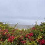 Black Point Trail, Rhode Island - 670 Reviews, Map | AllTrails