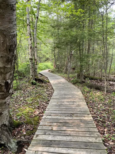 Best Hikes and Trails in Georgian Bay Islands National Park | AllTrails