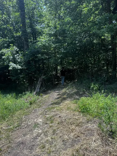 Best Hikes and Trails in Whiteman Air Force Base | AllTrails