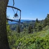 Mores Mountain Loop, Idaho - 415 Reviews, Map | AllTrails