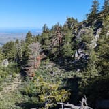 Mores Mountain Loop, Idaho - 415 Reviews, Map | AllTrails