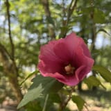 Heath Lake Loop, Georgia - 413 Reviews, Map | AllTrails