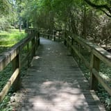 Heath Lake Loop, Georgia - 413 Reviews, Map | AllTrails