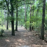 Heath Lake Loop, Georgia - 413 Reviews, Map | AllTrails