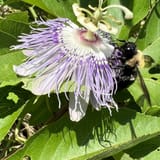 Heath Lake Loop, Georgia - 413 Reviews, Map | AllTrails