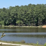 Heath Lake Loop, Georgia - 413 Reviews, Map | AllTrails