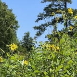 Heath Lake Loop, Georgia - 413 Reviews, Map | AllTrails