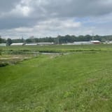 Levee Loop, Pennsylvania - 288 Reviews, Map | AllTrails