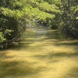 Boise Cascade Lake Loop, Idaho - 303 Reviews, Map | AllTrails