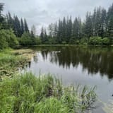 Two Lakes Trail, Alaska - 380 Reviews, Map | AllTrails
