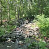 King Benson Preserve Trail, Rhode Island - 597 Reviews, Map | AllTrails