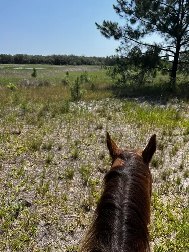 Best Hikes and Trails in Watermelon Pond Wildlife and Environmental ...