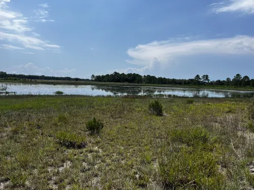 Best Hikes and Trails in Watermelon Pond Wildlife and Environmental ...