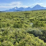 Lunch Tree Hill Trail, Wyoming - 226 Reviews, Map | AllTrails