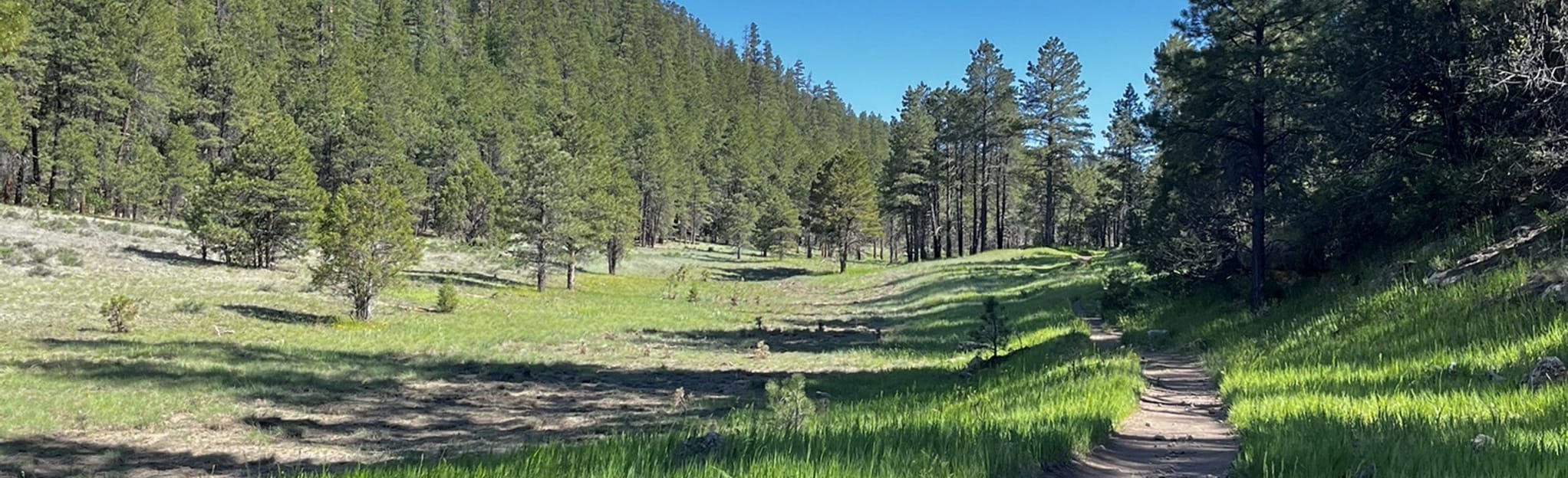 Walnut Canyon via Sandy Canyon Trail, Arizona Trail, Fisher Point Trail ...
