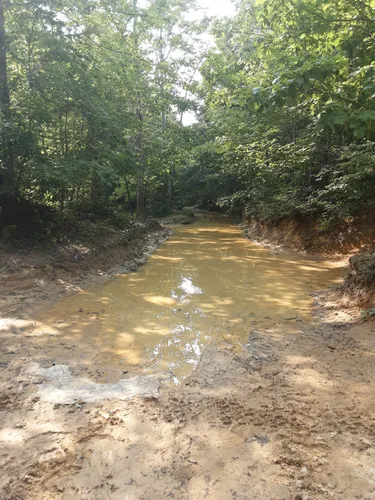 10 Best Off Road Driving Trails in Tennessee | AllTrails