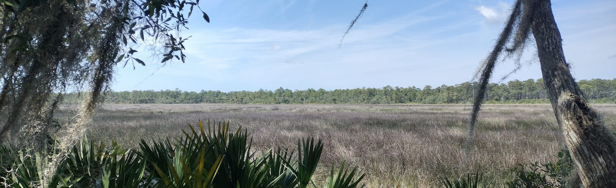 Faver Dykes Campground Trail: 22 Reviews, Map - Florida | AllTrails