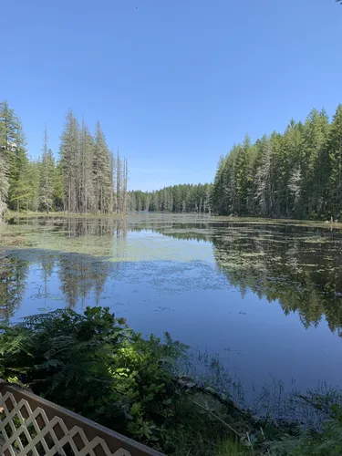 10 Best Hikes and Trails in Tahuya State Forest | AllTrails