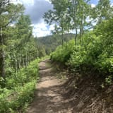 Packsaddle Lake, Idaho - 231 Reviews, Map | AllTrails