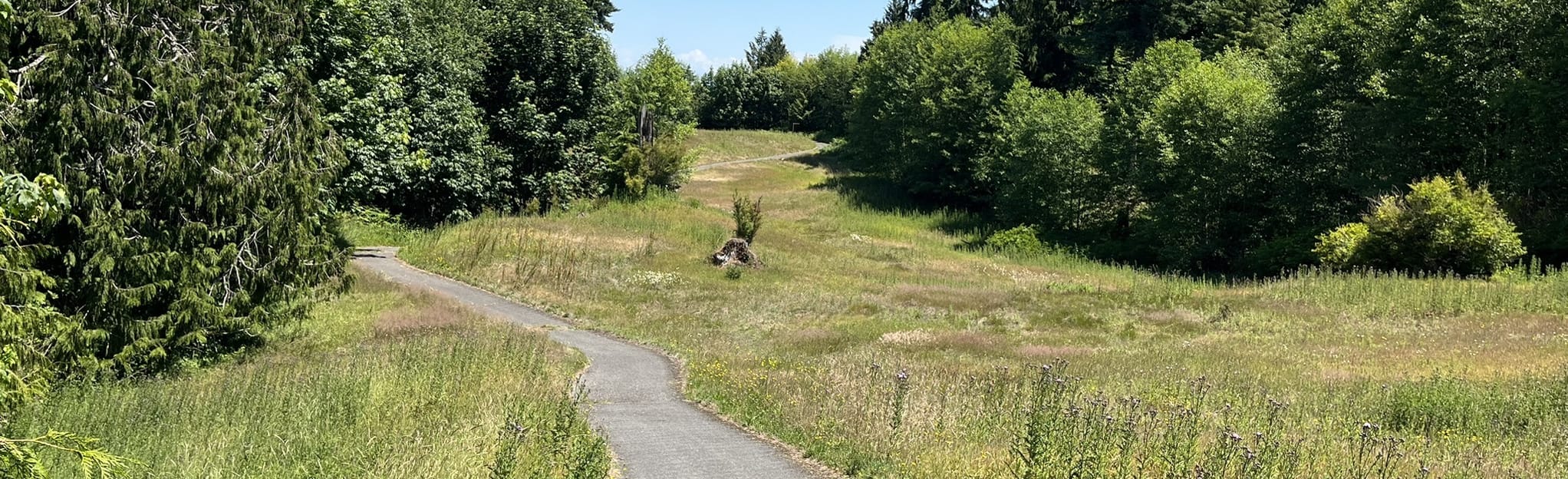 Old Cart Path Loop: 18 Reviews, Map - Washington | AllTrails