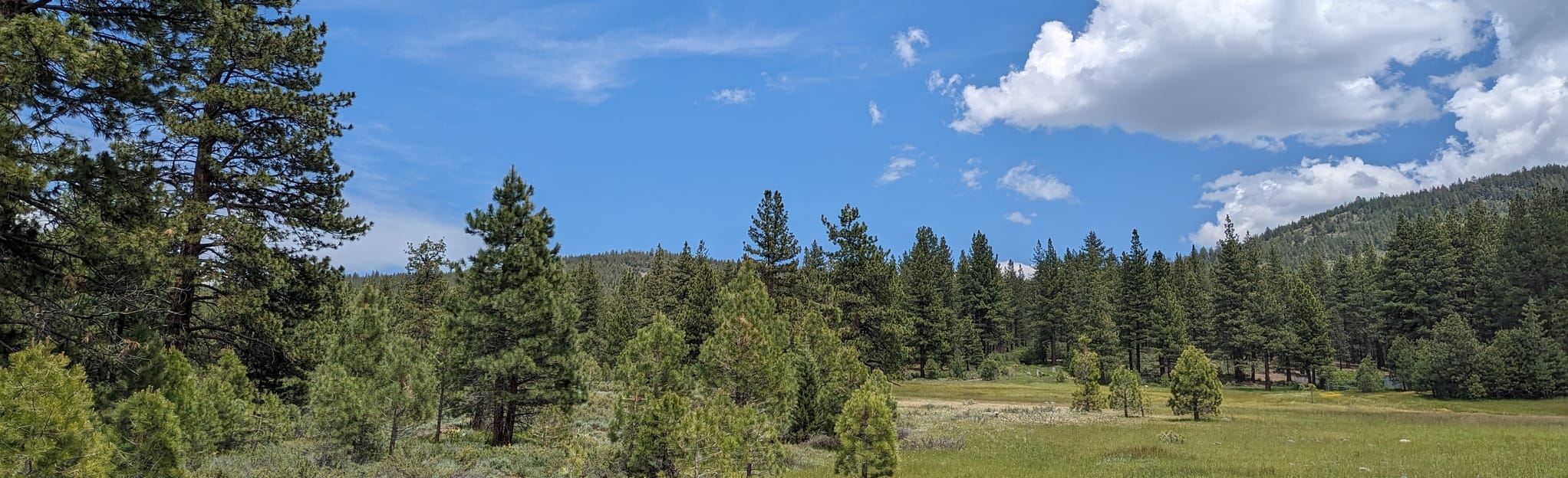 Verdi Peak Road and Stampede Meadows Loop, California - 29 Reviews, Map ...