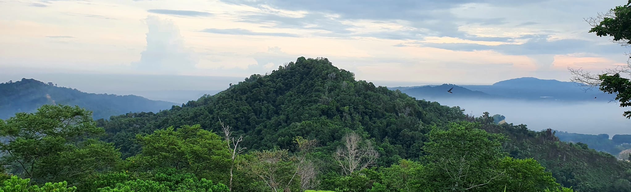 Bukit Botak Trail, Sabah, Malaysia - 209 Reviews, Map | AllTrails