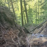 Barlow Point Trail, Washington - 202 Reviews, Map | AllTrails