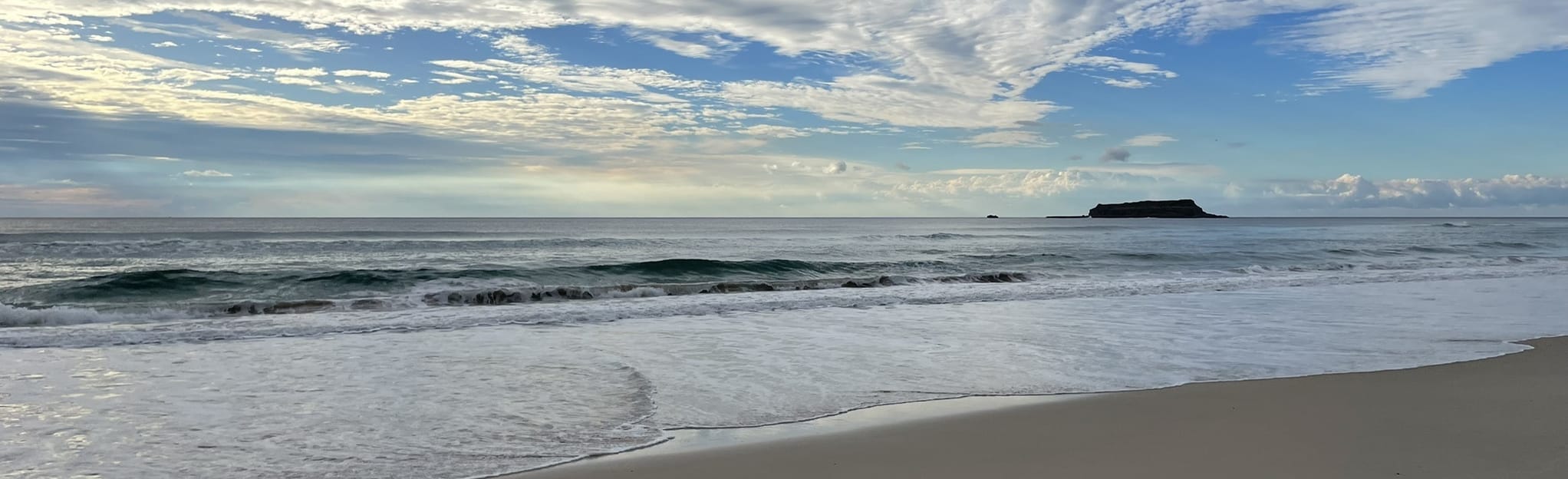 Fingal Beach Walk, New South Wales, Australia - 22 Reviews, Map | AllTrails