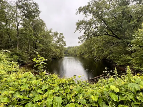 Best Hikes and Trails in Devils Den Nature Preserve | AllTrails