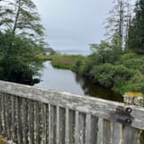 Cape Alava Trail, Washington - 501 Reviews, Map | AllTrails