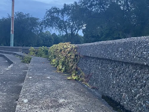 Best Hikes and Trails in Old Harbor Reservation | AllTrails