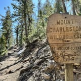 Charleston Peak South Trail, Nevada - 942 Reviews, Map | AllTrails