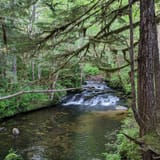 Lunch Falls Trail, Alaska - 66 Reviews, Map | AllTrails