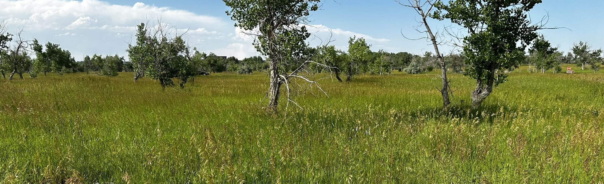 Pelican Point to Swim Beach, Colorado - 112 Reviews, Map | AllTrails