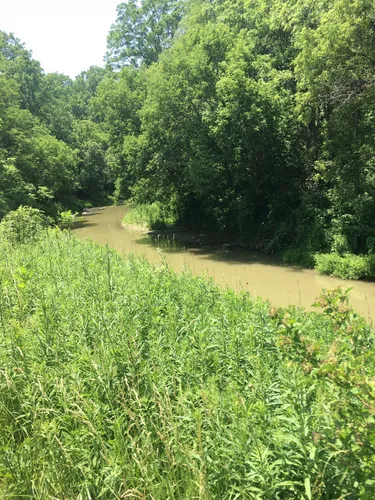 Best Hikes and Trails in Dan Patterson Conservation Area | AllTrails