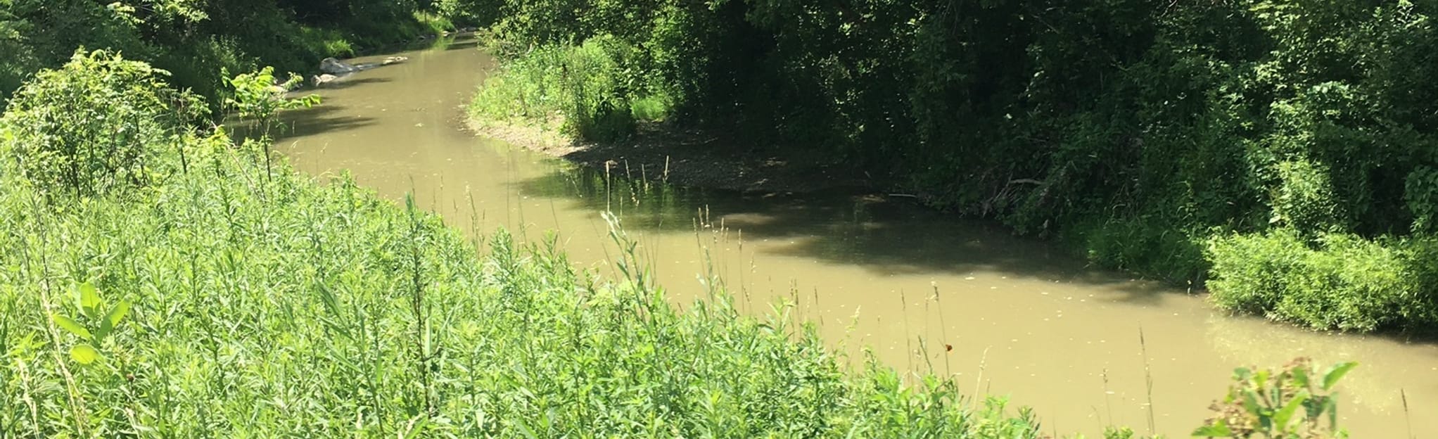 Old Growth Forest Trail, Ontario, Canada - 20 Reviews, Map | AllTrails