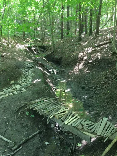 Best Hikes and Trails in Dan Patterson Conservation Area | AllTrails