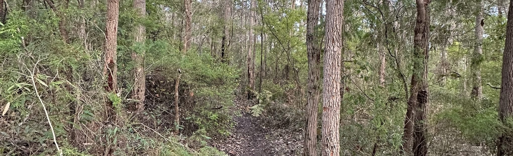 Chimney Trail Loop, Western Australia, Australia - 198 Reviews, Map ...