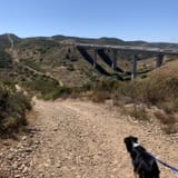 Grasslands Loop Trail, California - 1,408 Reviews, Map | AllTrails