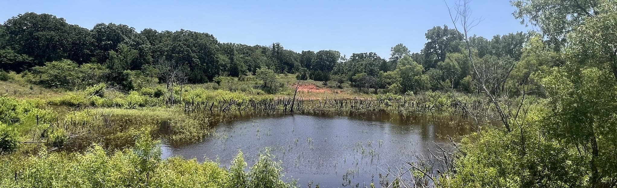 Draper Lake Old Road Loop, Oklahoma - 55 Reviews, Map | AllTrails