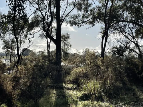 Best Hikes and Trails in Muckleford Bush Reserve | AllTrails