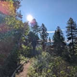Mores Mountain Loop, Idaho - 415 Reviews, Map | AllTrails