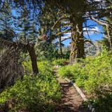 Mores Mountain Loop, Idaho - 415 Reviews, Map | AllTrails