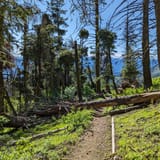 Mores Mountain Loop, Idaho - 415 Reviews, Map | AllTrails