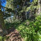 Mores Mountain Loop, Idaho - 415 Reviews, Map | AllTrails