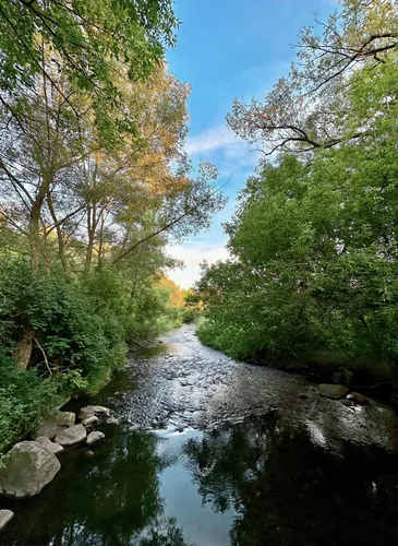 Best Hikes and Trails in Bechtel Park | AllTrails