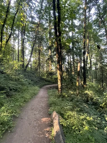 10 Best Trails and Hikes in Portland | AllTrails